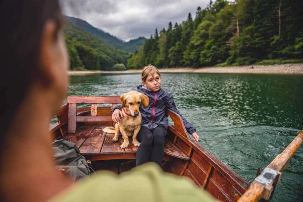 8 Tips for How to Take Your Dog on a Boat for the First Time